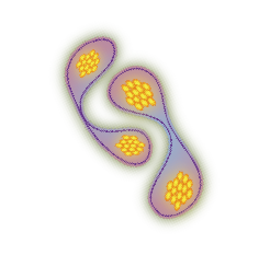 美國 SureSkin Technology - SureMed 舒利渼